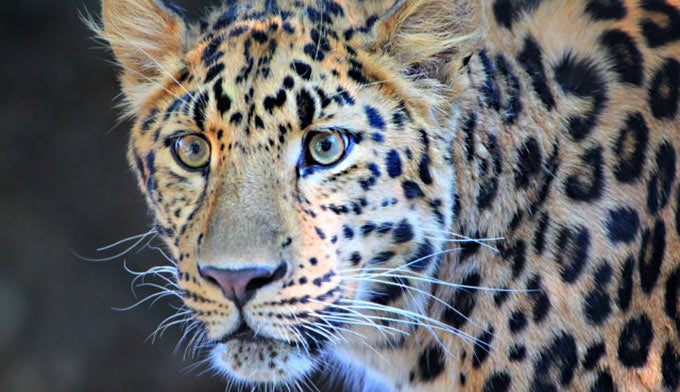 Hogle Zoo in Salt Lake City